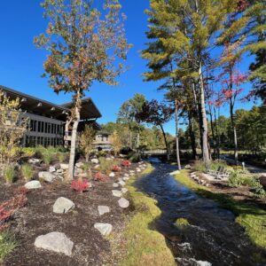 Gallery | The Eldred Preserve