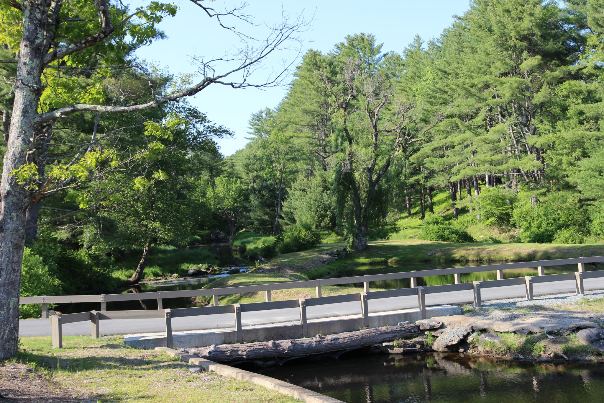 Gallery | The Eldred Preserve