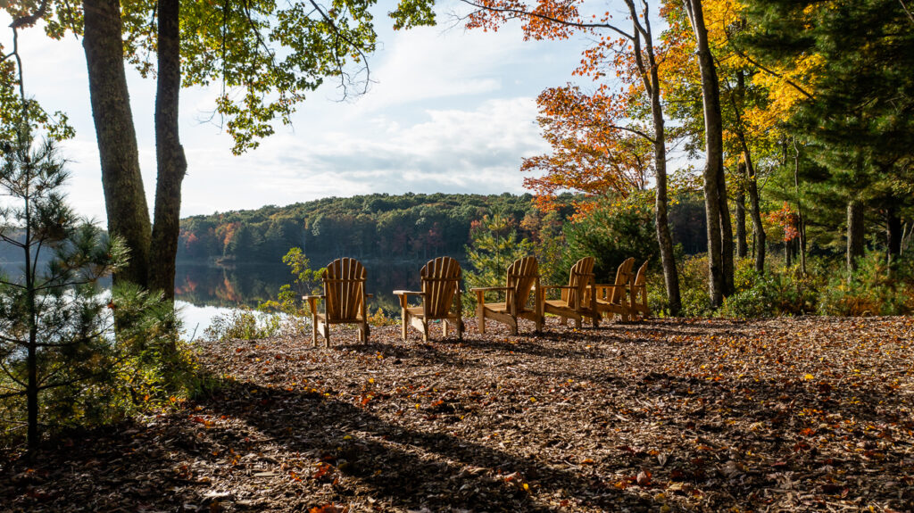 Stay | The Eldred Preserve
